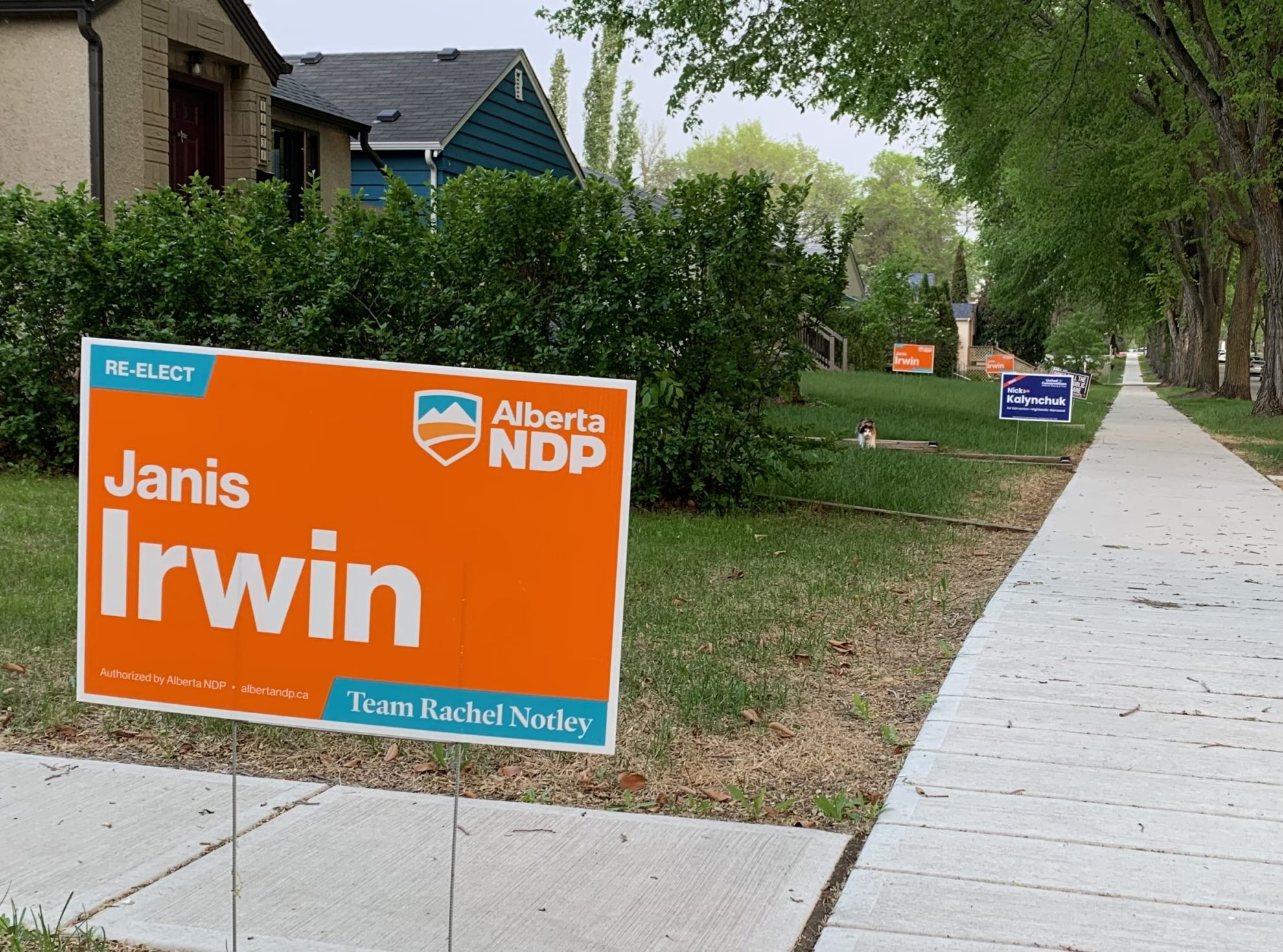 daveberta.ca – Alberta Politics and Elections – Page 2